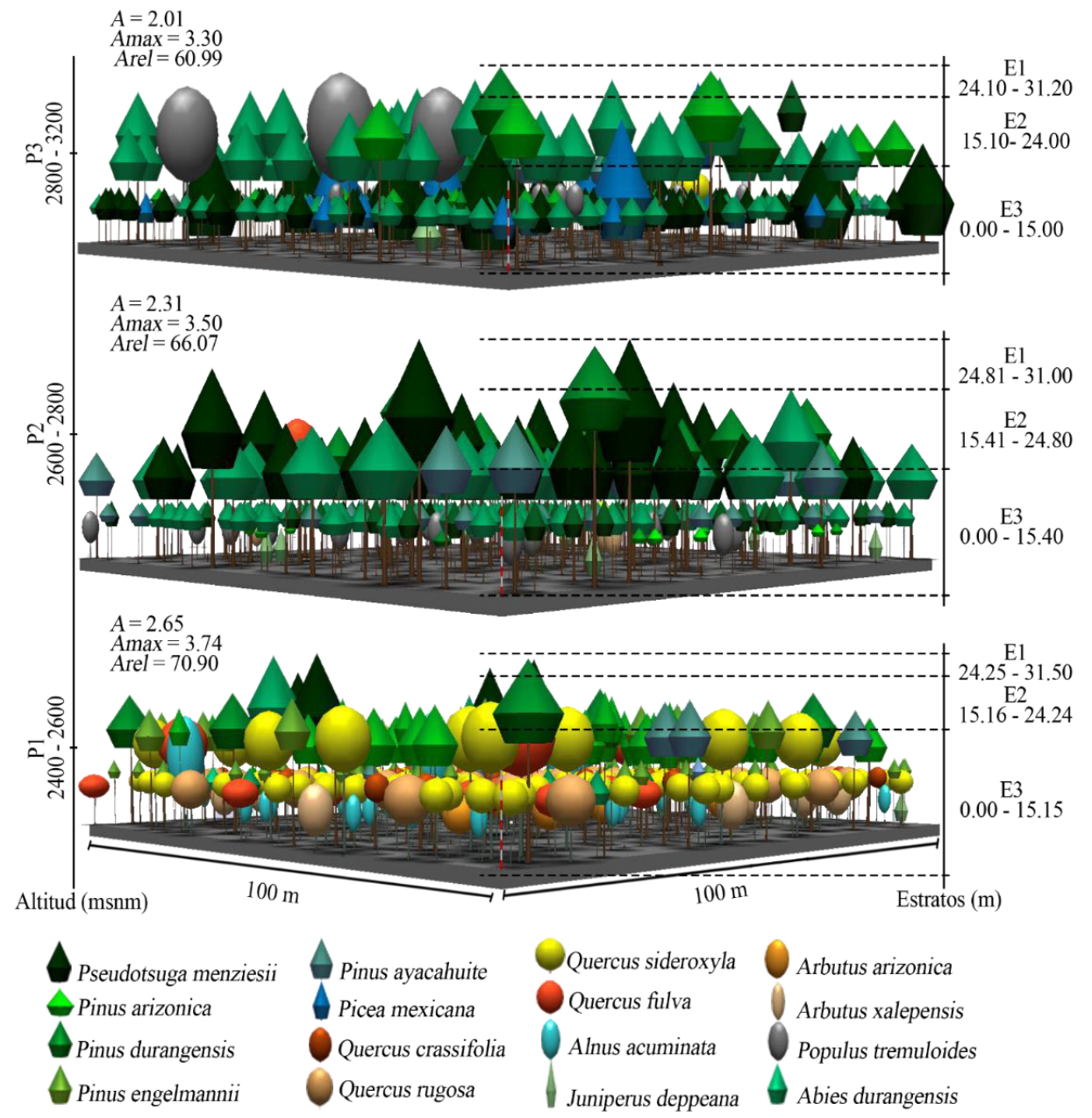 Composición, estructura y estado de la regeneración arbórea en un ...